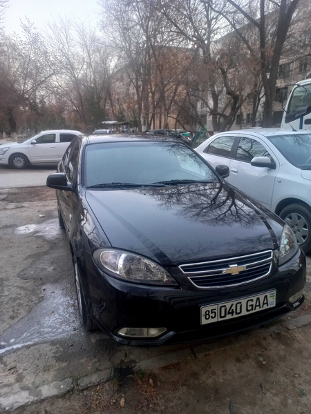 2016 qora jentira