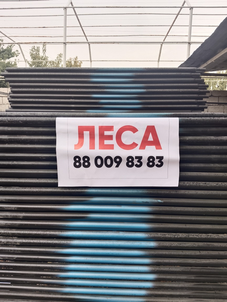 Lesa arenda toshken token viloyatiga beramiz