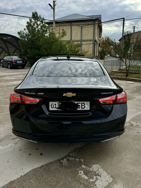 Malibu 2 Premier 2023 tozza