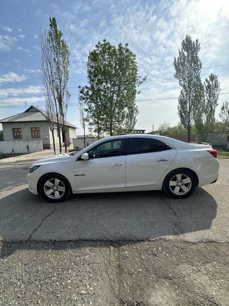 Malibu 1 2-pozitsiya