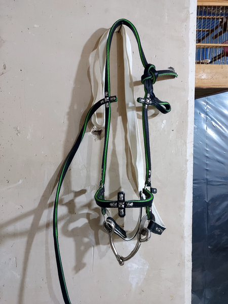 Kamplekt ot anjomlari