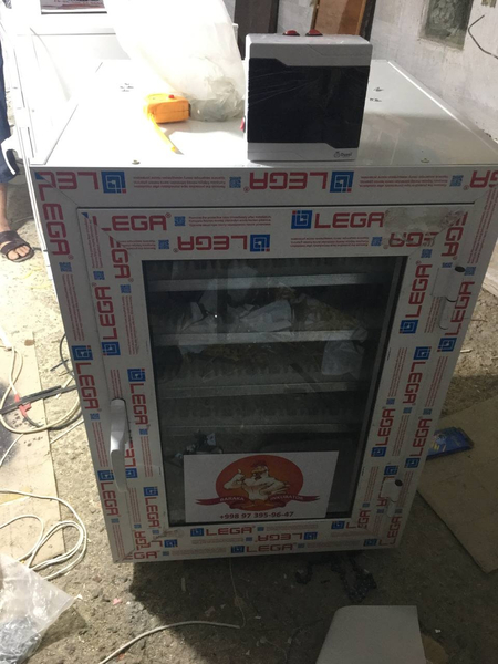 Inkubator 500 talik
