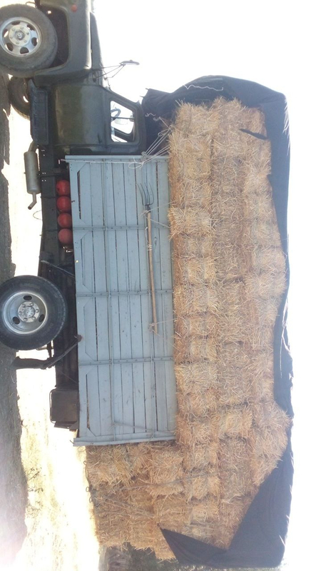 Gaz 53 xalati alo