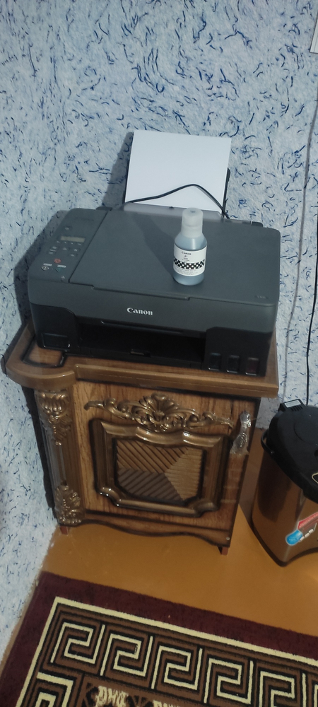Rangli prentir g3420 uchtasi birda