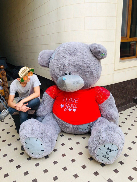 Teddy teddi va panda