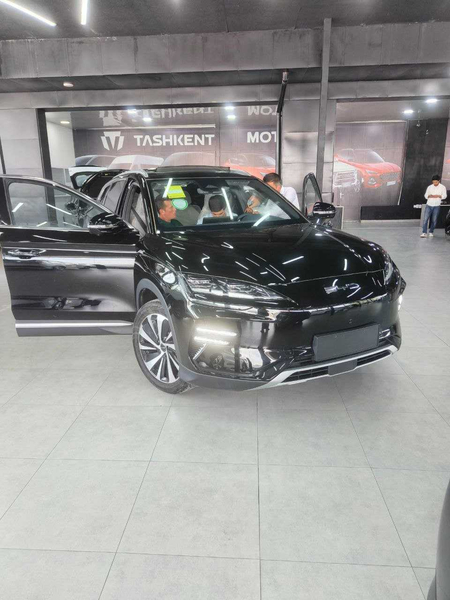 elektromobil byd CHempion 605 km