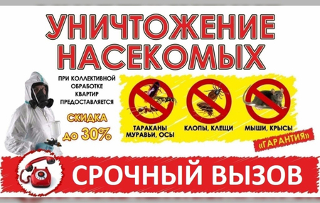 Дезинфекция таракан клапа Уничтожение