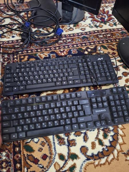 2 dona kampyuter