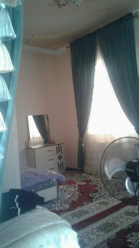 Toshken tumani koʻk terak