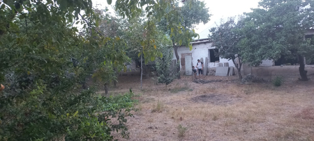 6 sotiqli yarim yayyor hovli sotiladi