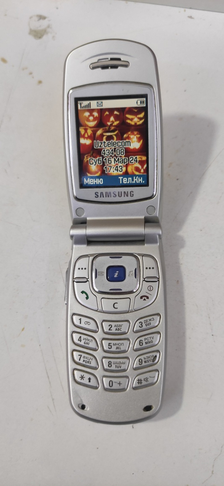 Samsung sgh-s500