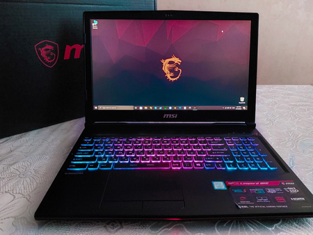 MSI GTX 1060(6gb) 16gb RAM, i7 8750H