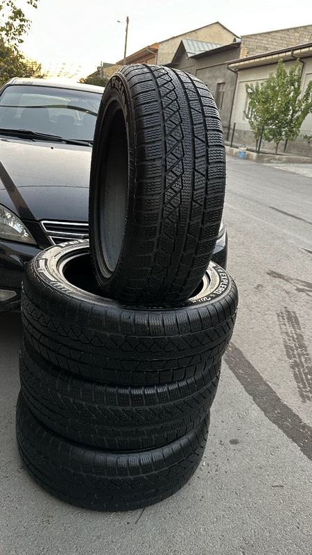 Зимний балон BYD Song Champion