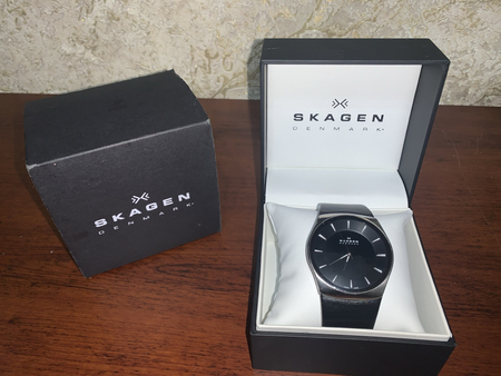 Часи Skagen SKW6017