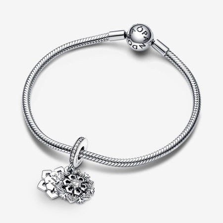 Шармы PANDORA Серебро 925 пробы