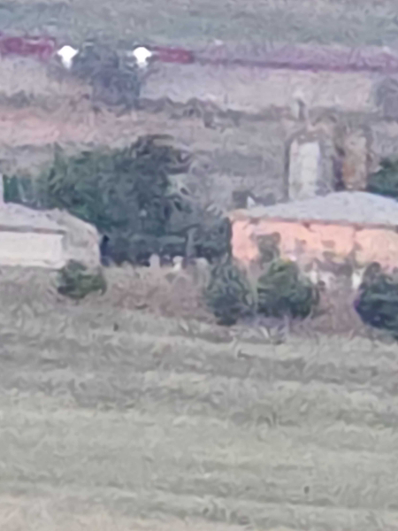 Dacha 6 Sot Sotiladi Mayskiy Zvezdochkada Srochno