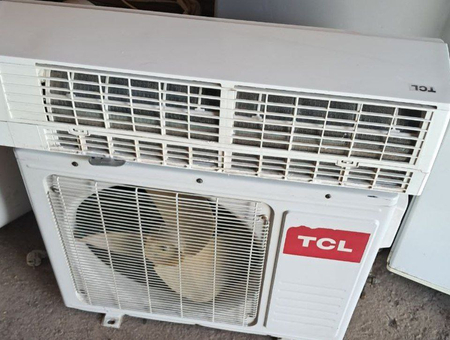 Kansaner 12 talim tcl
