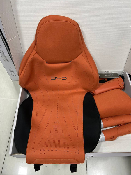 Byd chazor nakidka, chexol