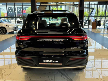 BYD SONG PRO DM-i 71 km Flagship