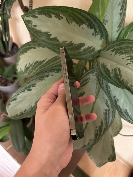 iPhone 13 Pro