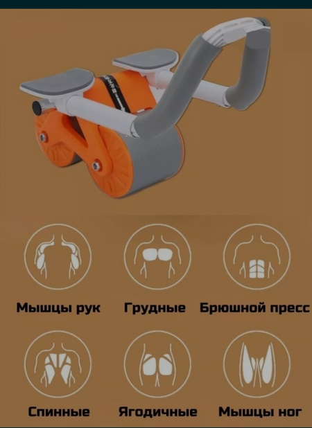Тренажер для пресса и укрепления спины

возвратным механизмом