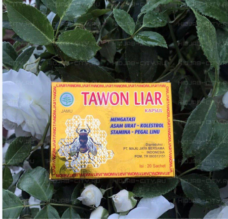 Tawon Liar arginal indaneza