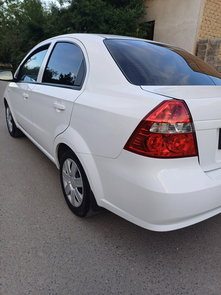Nexia 3 2020 tozza