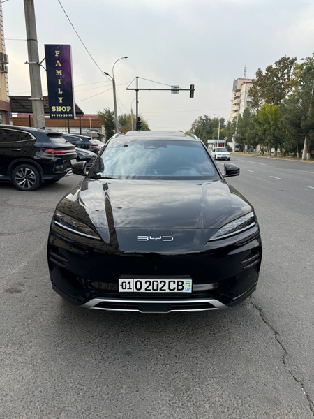 Byd Chenpion Full 605