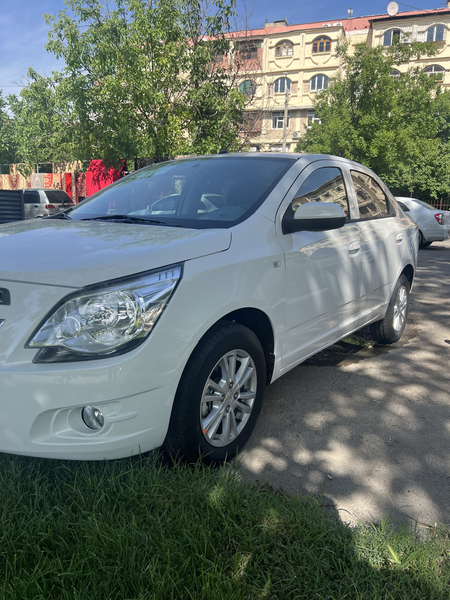 Kobilt bez prabek 2024