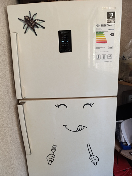 Холодильник Samsung