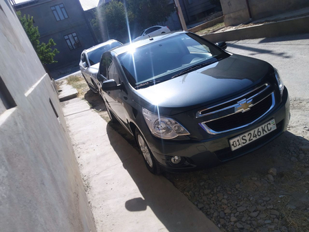 Cobalt 4 Pazitsa kiraska tozza 100%