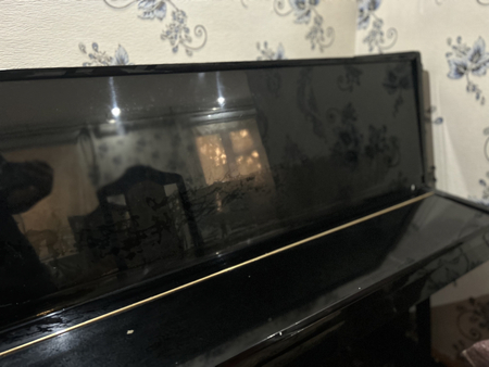 Pianina holati a’lo darajada