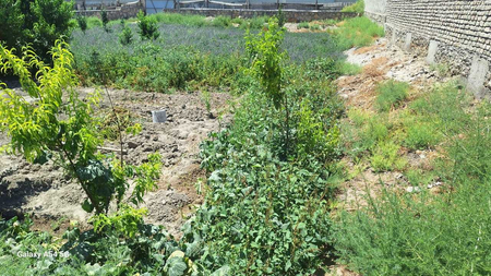 Когон шахар масла завод рупарасида 7 сотихли тугалланмаган курилиш.