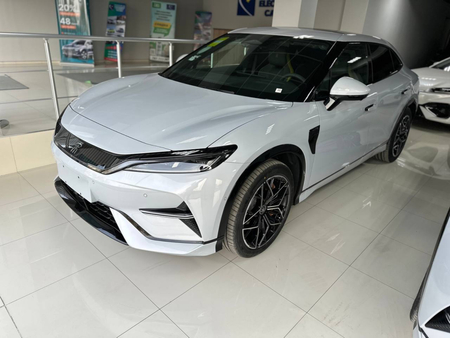 Byd Song L салон шот справка