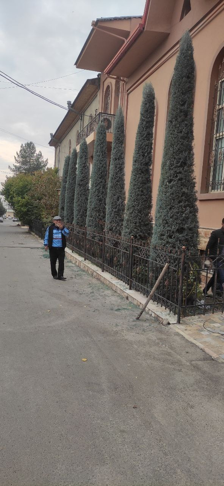 Lanshaft dizayn archa ekamiz kesamiz gazon ekamiz oramiz