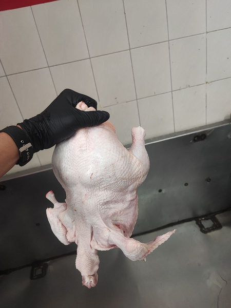 Tovuq go‘sht mahsulotlari optom