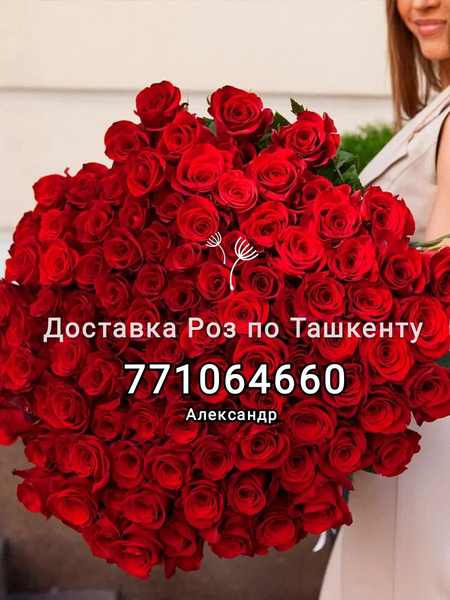 Доставка Роз по Ташкенту. На Розы Мега скидки. 101 роза от 650.000сум