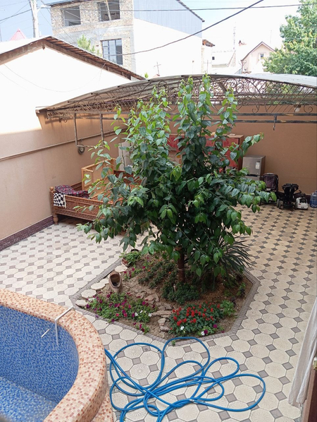Arenda Hostel Offisga Beriladi Yakkasaroy