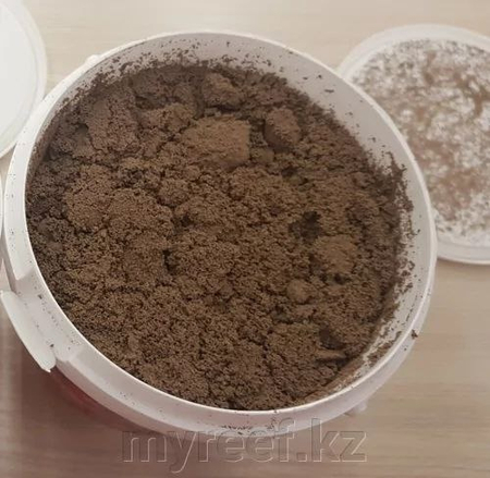 Артемия Барнаульская