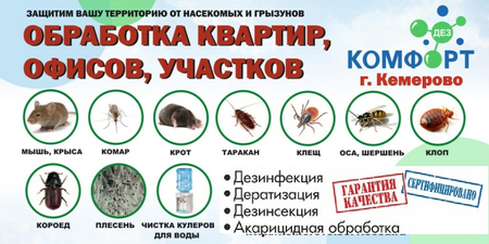 ДЕЗИНФЕКЦИЯ от Клопов Тараканов Мухи Камари Грызунов 24/7