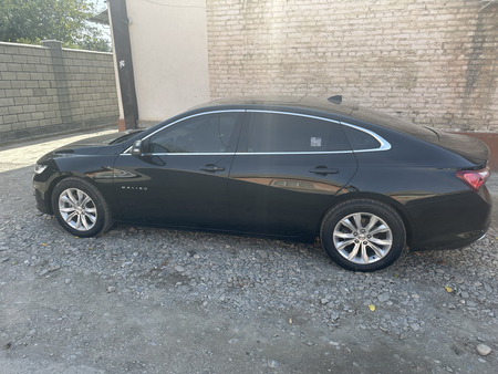 Malibu 2 PREMIER