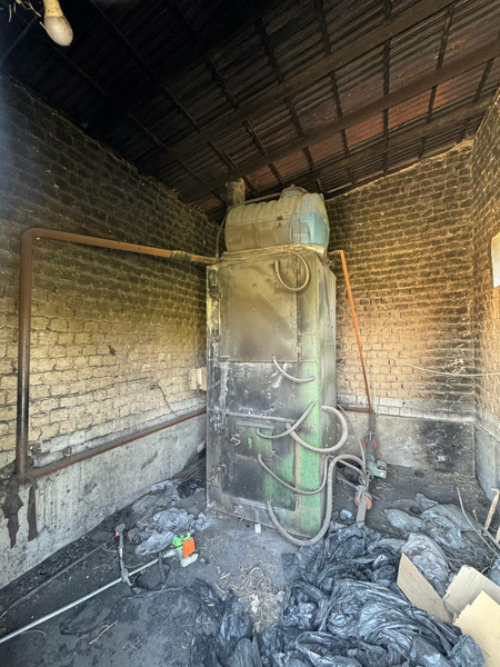 Ишлаб турган парник