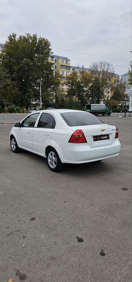 Нексия 3 в родной краске.
