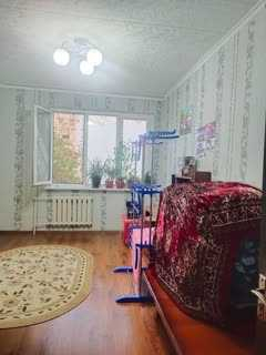 Феруза массив 3 ком  DD  158043