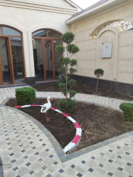 Gazon va archa ekamiz xizmatlar kafolatlangan.