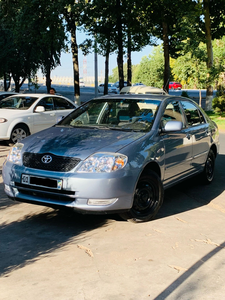 Toyota corolla sedan