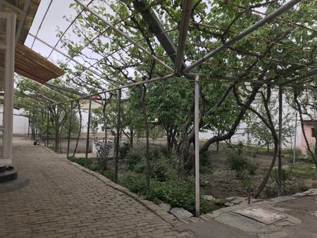 Дом в центре города