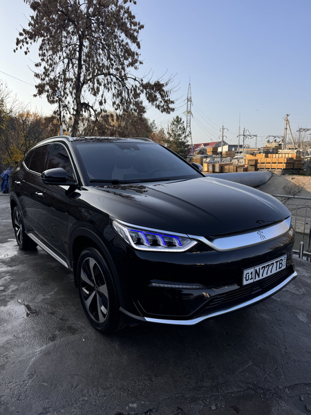 Bvd song pulus 2022/23
