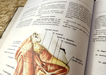 Atlas anatomiya/Атлас анатомия узб и русс