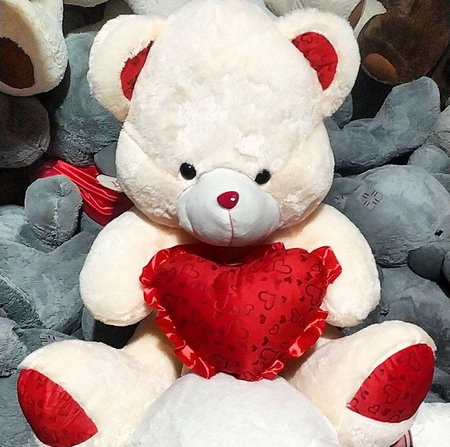 Teddy va boshqa yumshoq oʻyinchoqlar